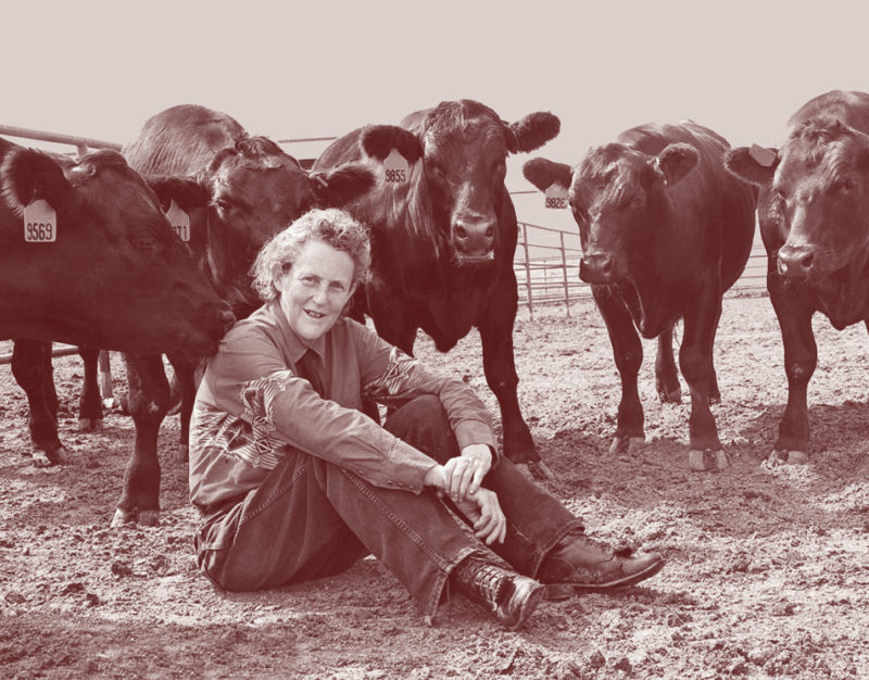 Her Way Of Seeing — The Common Table