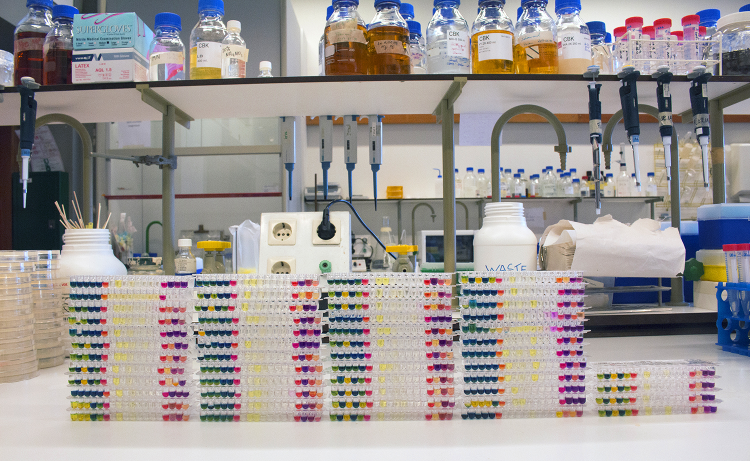 Mother's Hand Taste — The Common Table