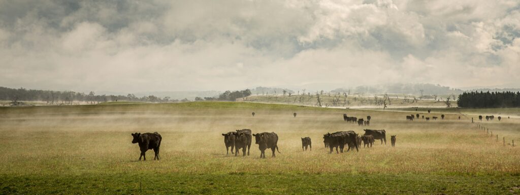 On Food & Education: Jeremy Coller — The Common Table